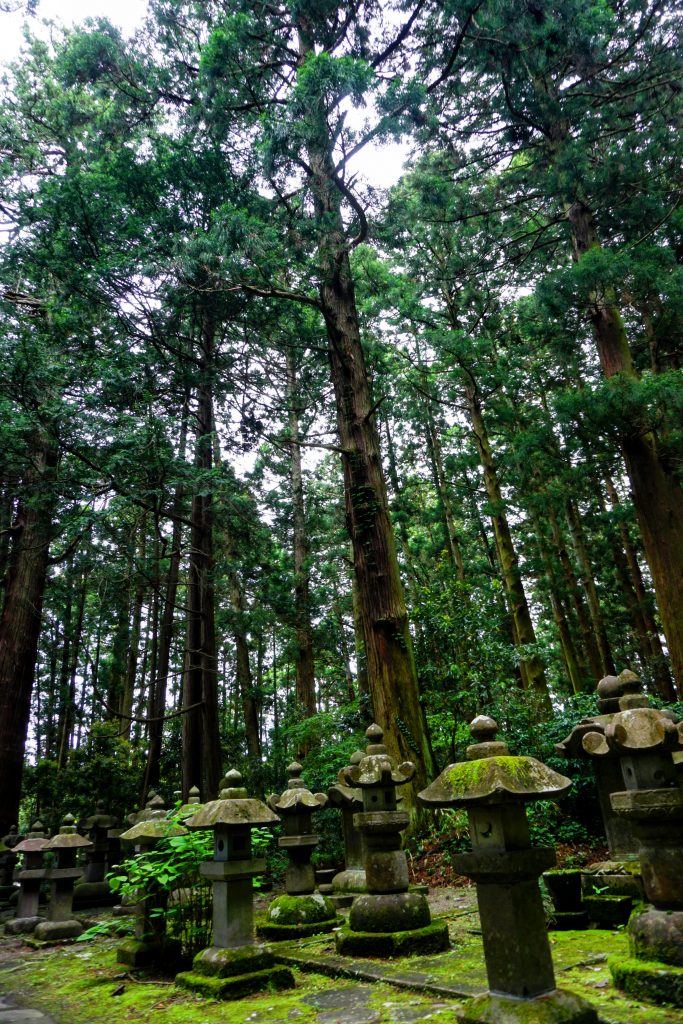 Sendai — the City of Trees – Inconsequential